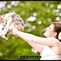 Te decimos cómo incluir a tu mascota en la boda | Revista KENA México