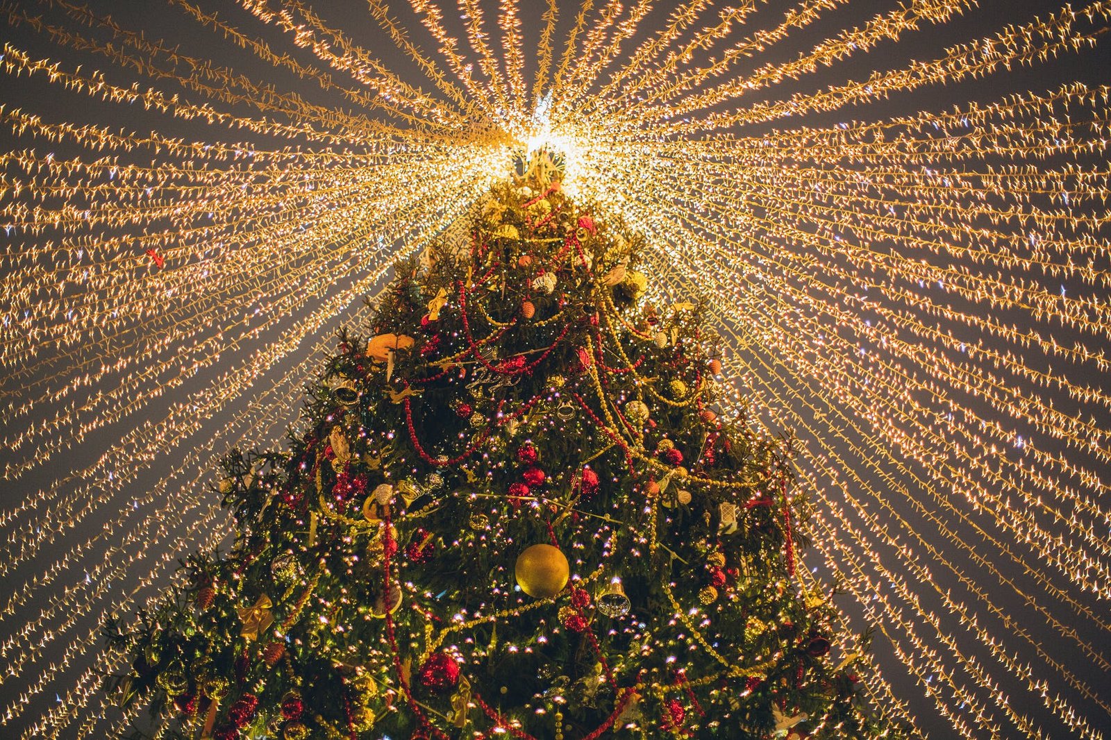 Más ideas para tus árboles navideños | Revista KENA México