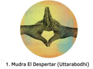 Mudras poderosos: hasta los famosos lo usan | Revista KENA México
