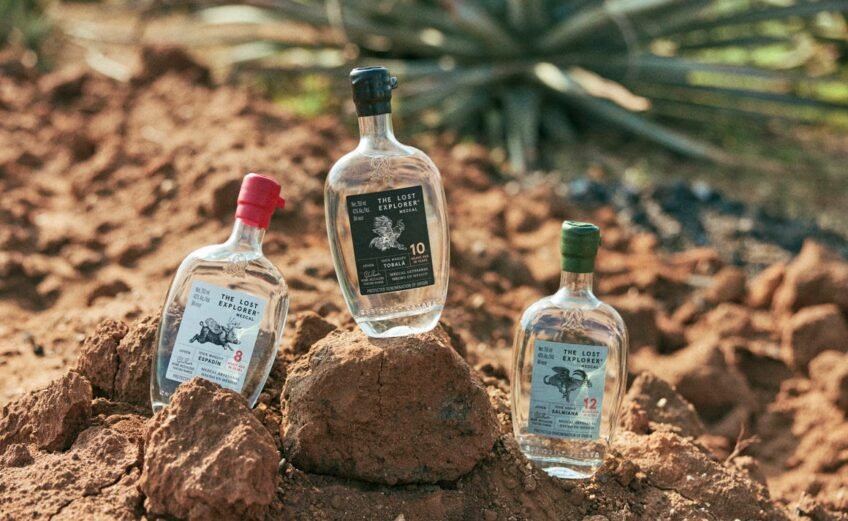 La personalidad de un mezcal: ¡Claves para reconocerlos! | Revista KENA ...
